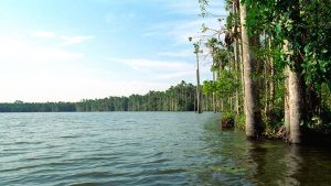 Sandoval Lake in Tambopata National Reserve | Blog Machu Travel Peru