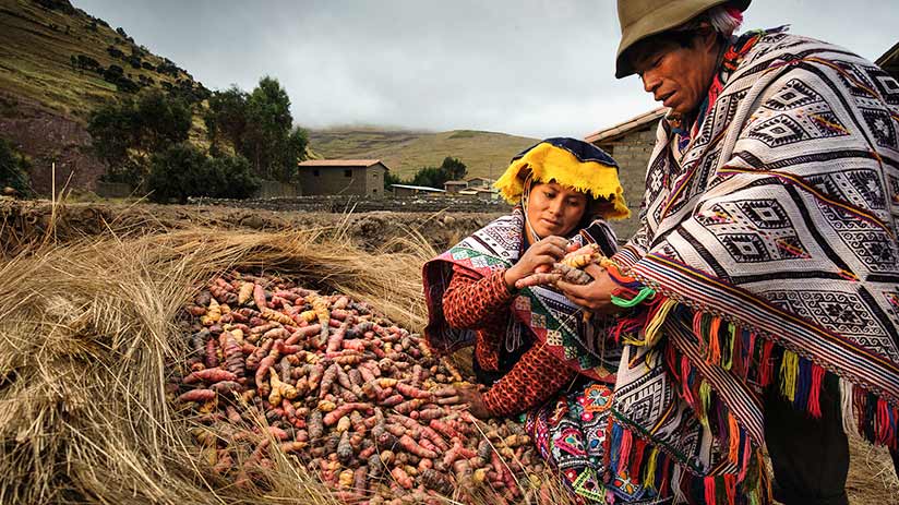 Natural biodiversity in Peru | Blog Machu Travel Peru