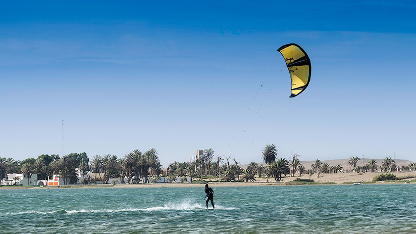 Best things to do in Paracas | Blog Machu Travel Peru