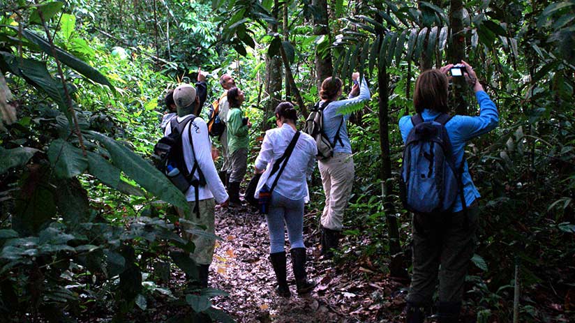 Amazon in Peru complete travel guide | Blog Machu Travel Peru