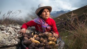 Inca Gods and Religion | Blog Machu Travel Peru