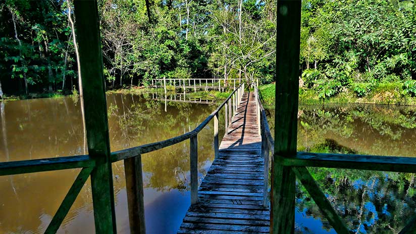 Amazon in Peru complete travel guide | Blog Machu Travel Peru