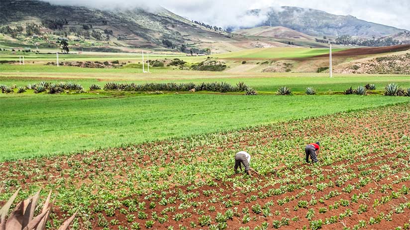 Interesting facts about the Incas | Blog Machu Travel Peru