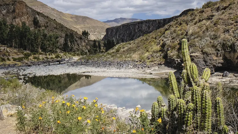 Relaxing in Colca Canyon Hot Springs | Blog