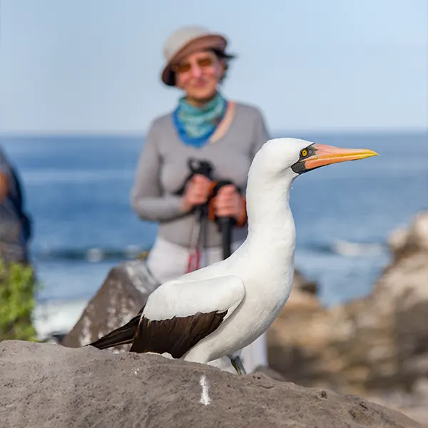 5 Ecotourism attractions in Peru: Enjoy the best from the nature ...