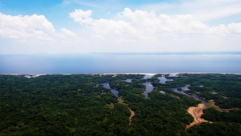 South America Wildlife Tours: Best Nature Adventures